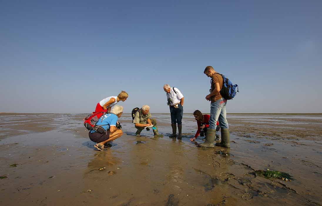 Excursie op het wad - fotofitis.nl